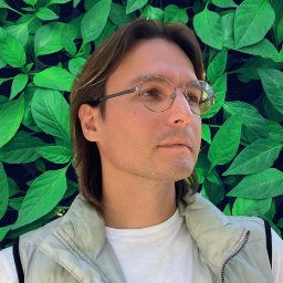 Anton Anuchin - Webflow